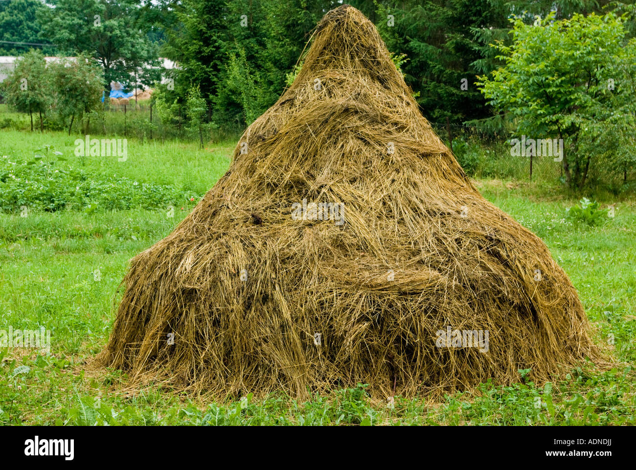 Polish haystack hi-res stock photography and images - Alamy