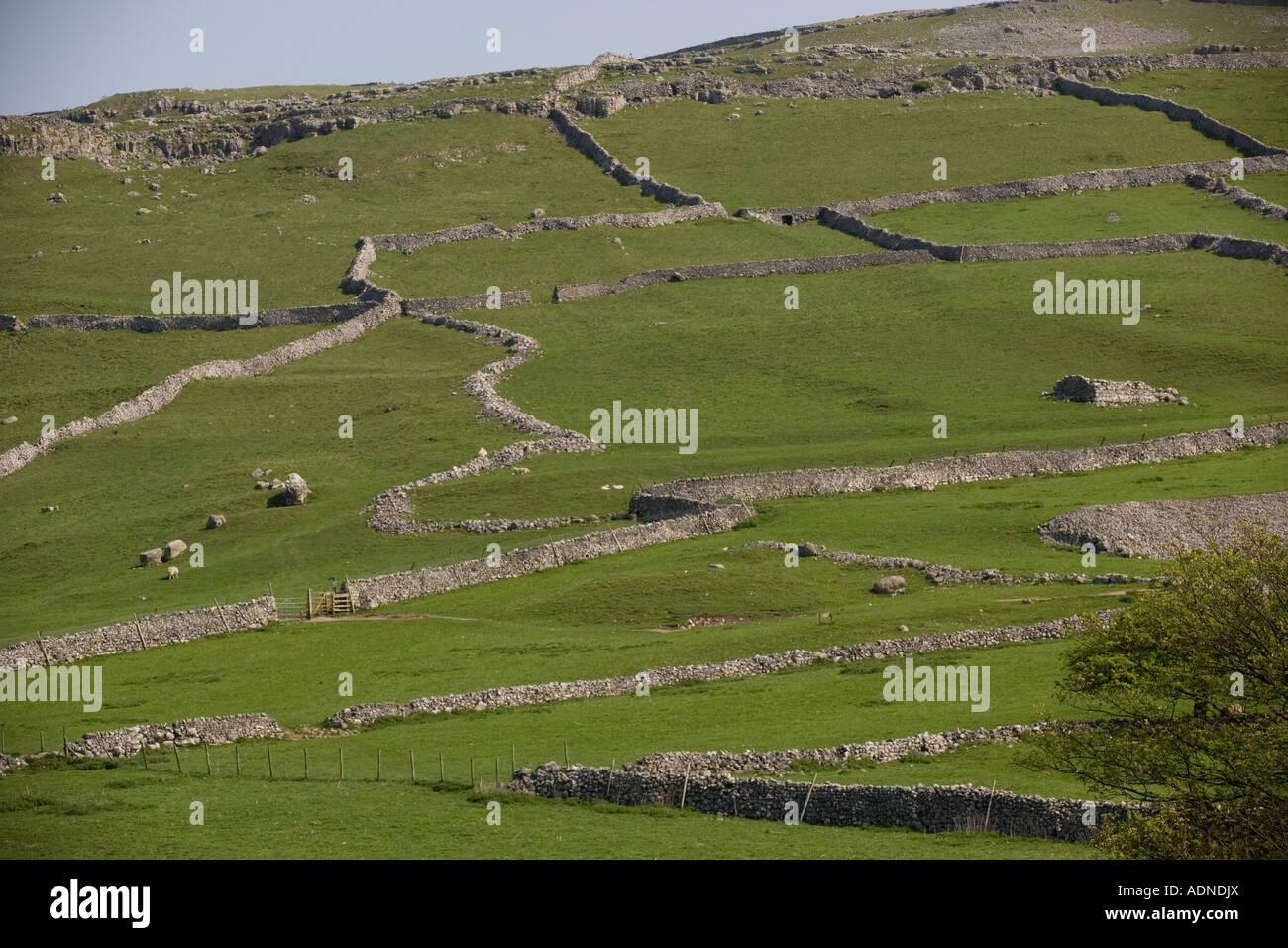 Medieval field patterns hi-res stock photography and images - Alamy