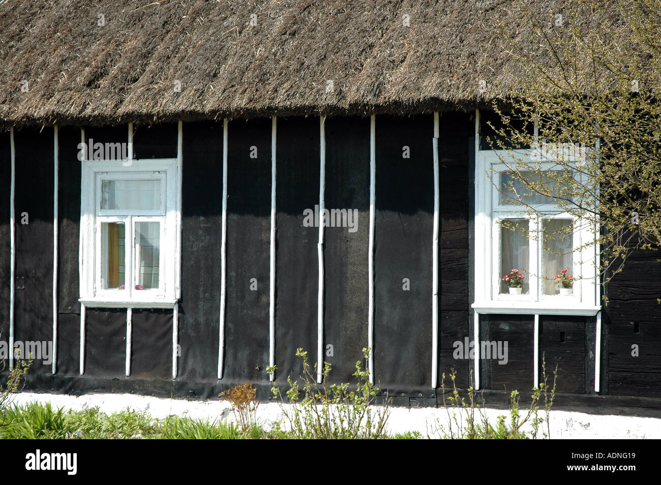 Old cottage with thatched roof Stock Photo - Alamy