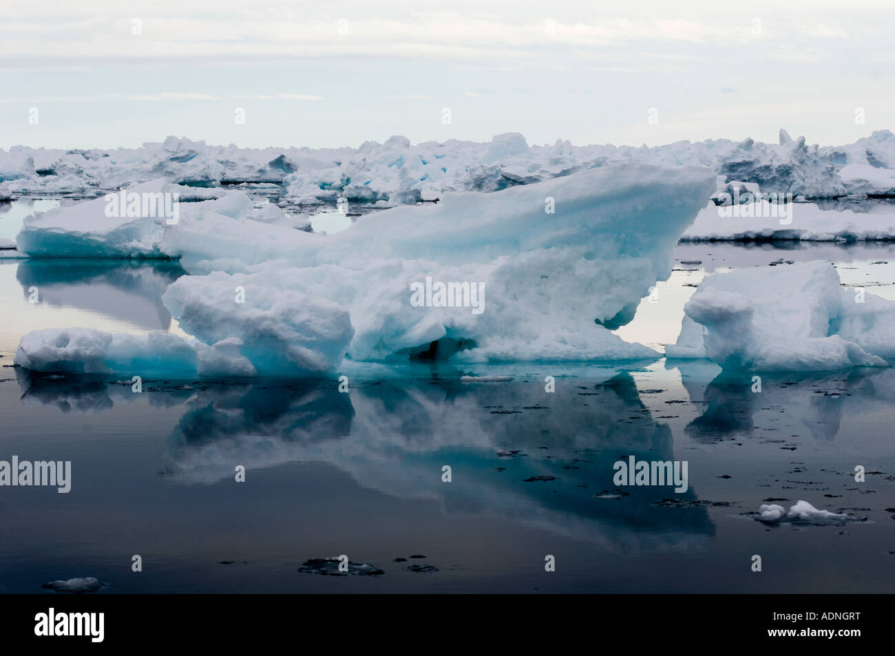 Melting ice drifting in the pack may take years to fully melt. Called ...