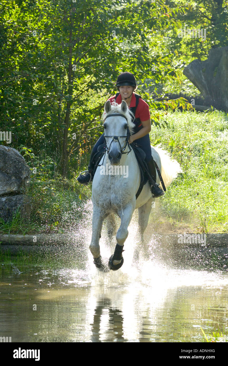 Horse Rider Galloping High Resolution Stock Photography and Images - Alamy