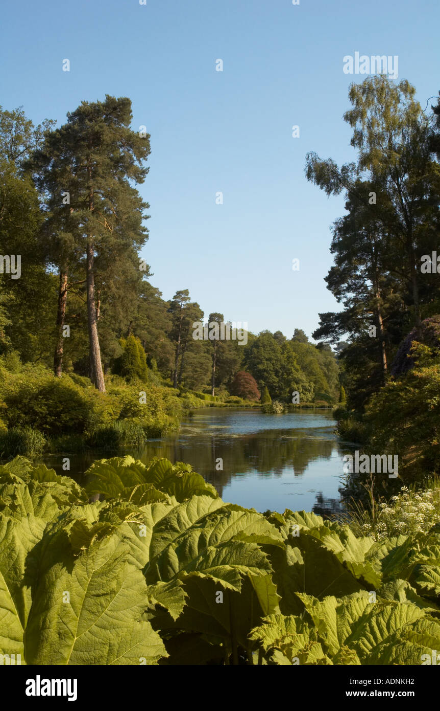 Leonardslee Gardens Lake Stock Photo - Alamy