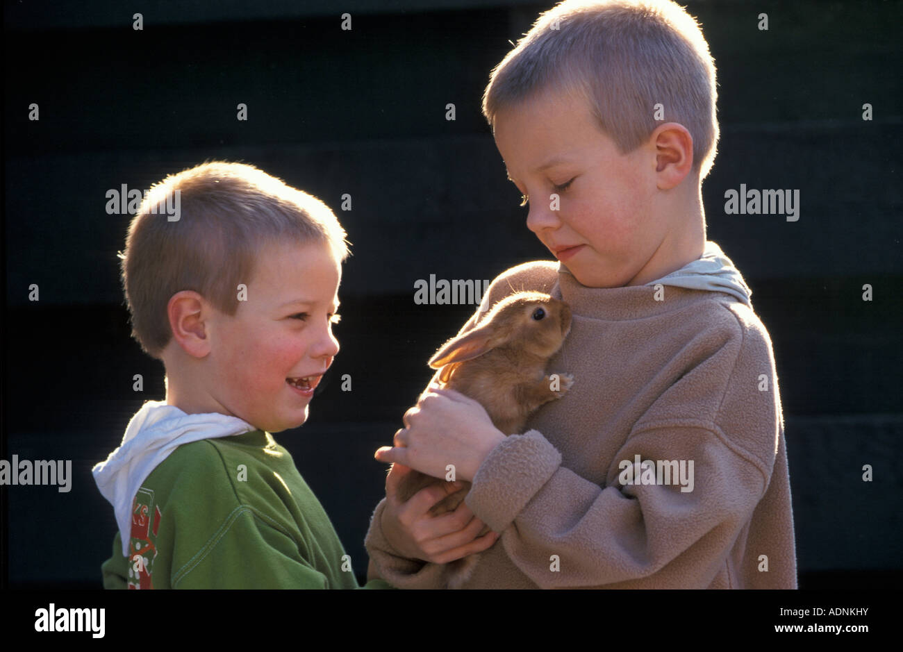 Two boys with a little pet rabbit Stock Photo - Alamy