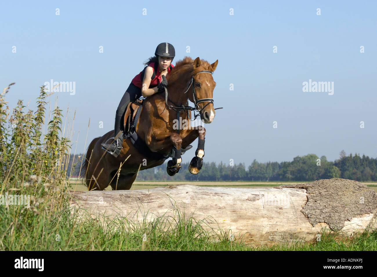 German riding pony girl jumping hi-res stock photography and images - Alamy