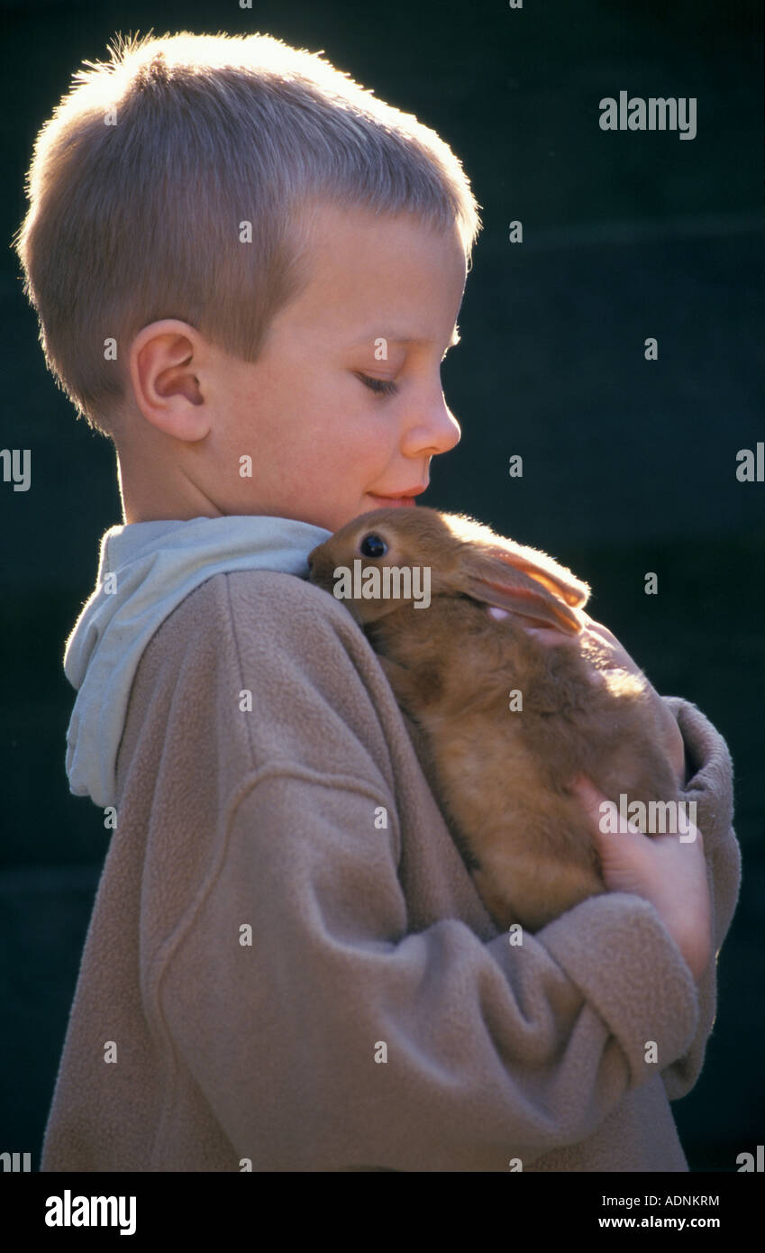 Boy holding a little pet rabbit Stock Photo - Alamy