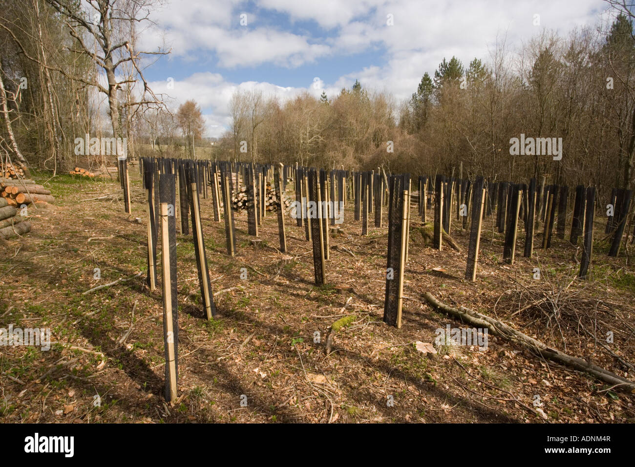 Tuley tubes hi-res stock photography and images - Alamy