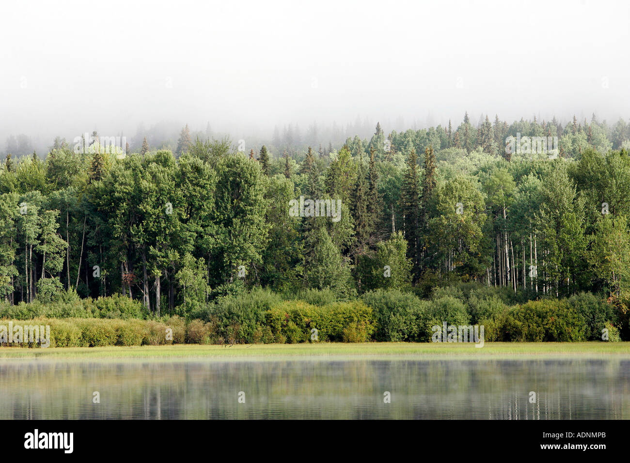 Lake babine british columbia hi-res stock photography and images - Alamy