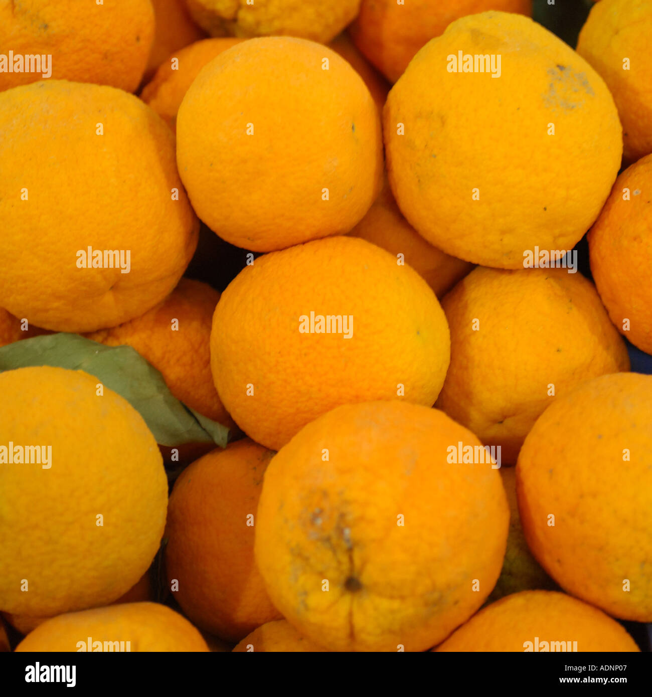 Oranges Limassol Market Cyprus Stock Photo - Alamy