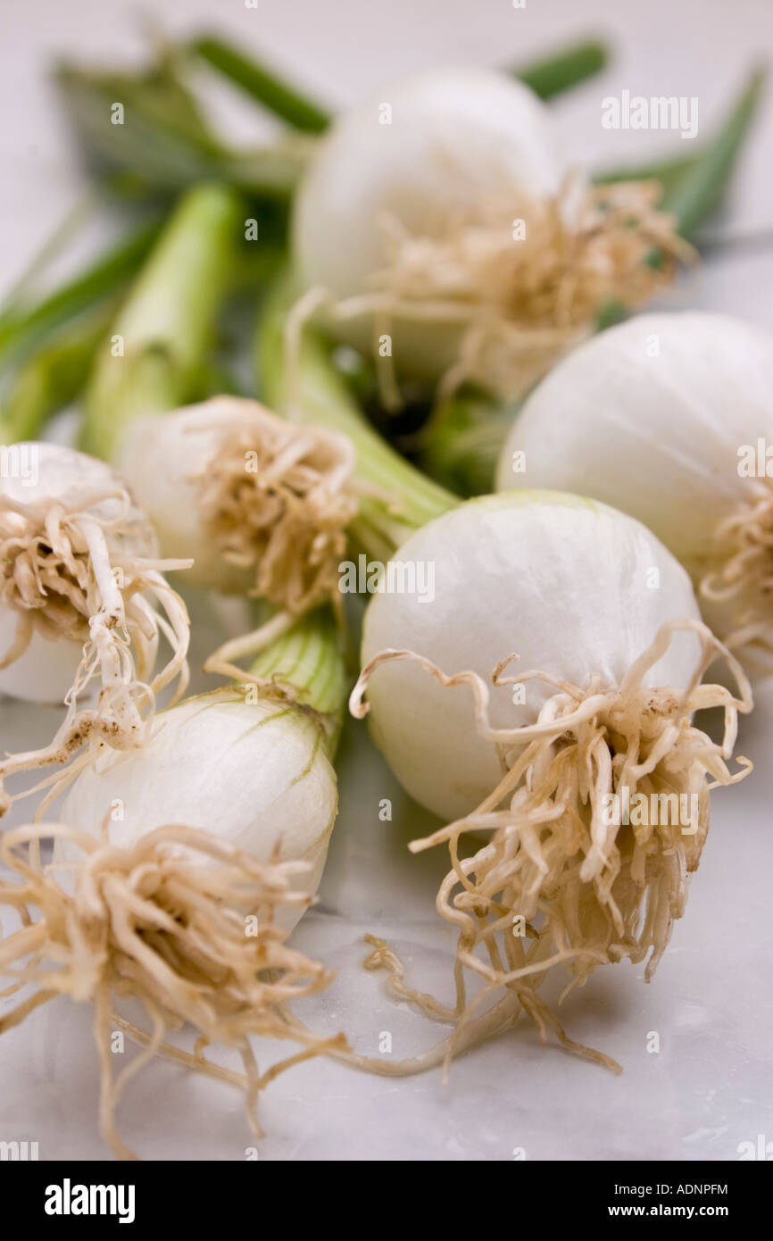 Close up spring onion roots hi-res stock photography and images - Alamy