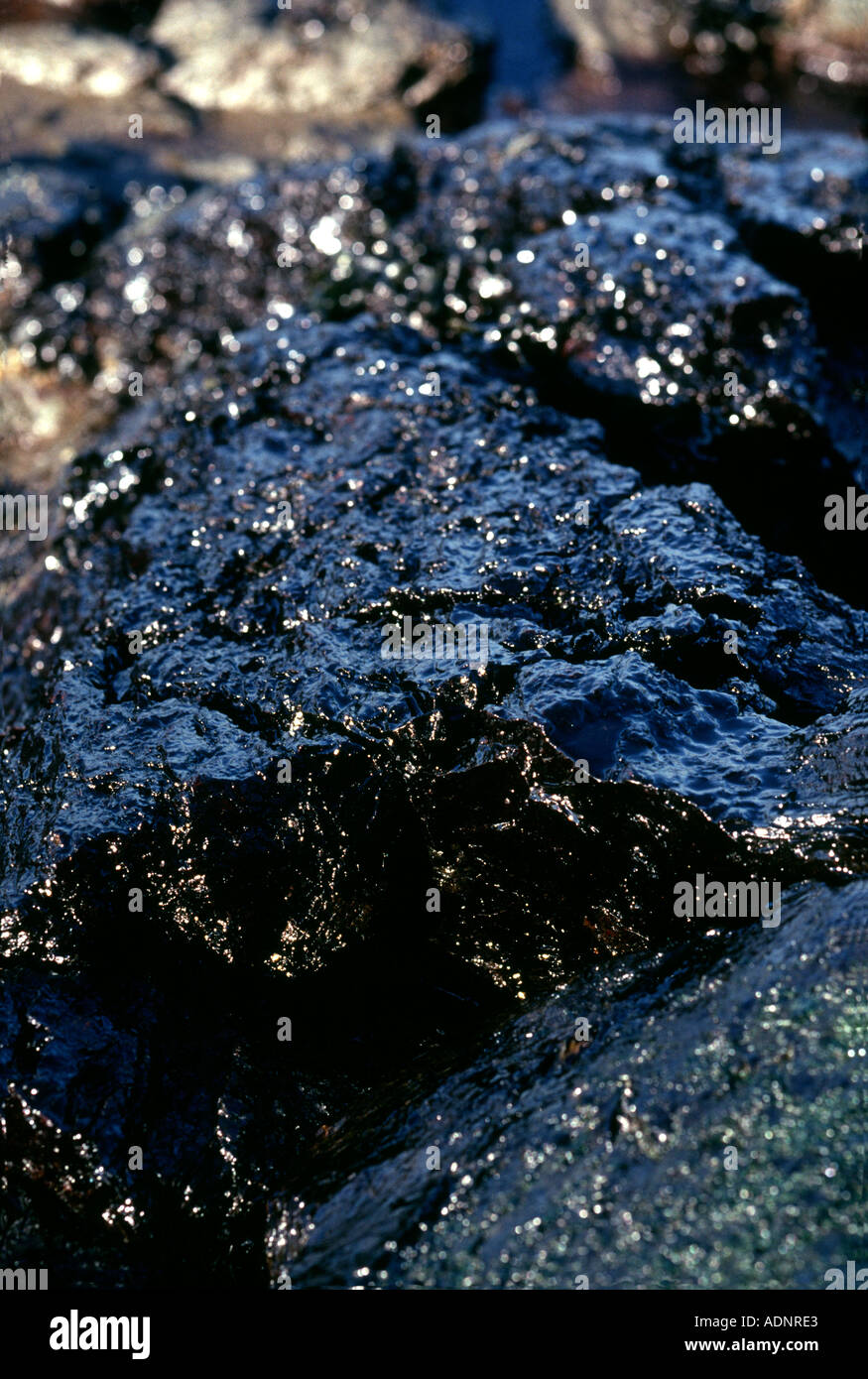 oil spill oil on rocks Stock Photo - Alamy