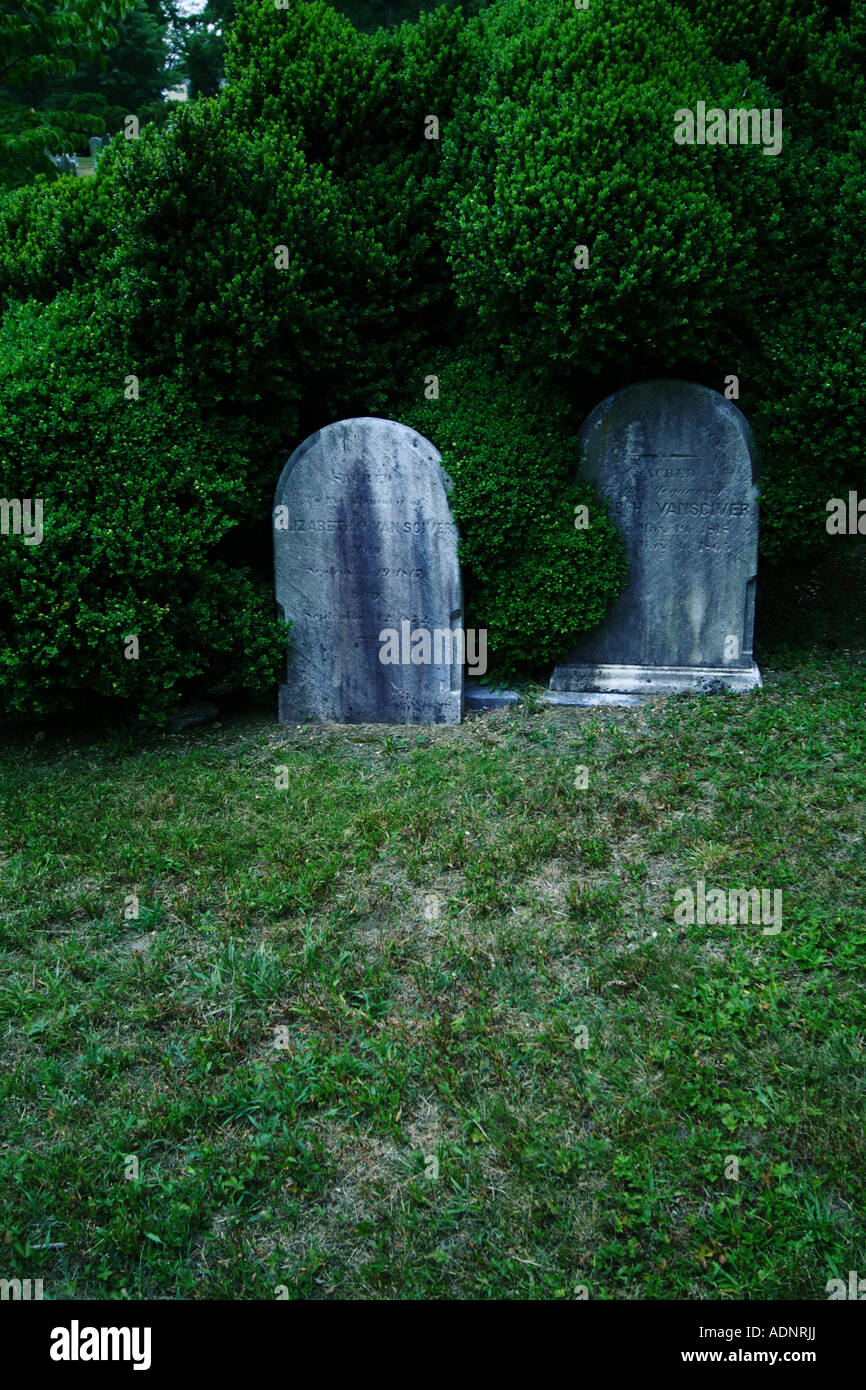 two gravestones in a cemetery enveloped by bushes Stock Photo - Alamy