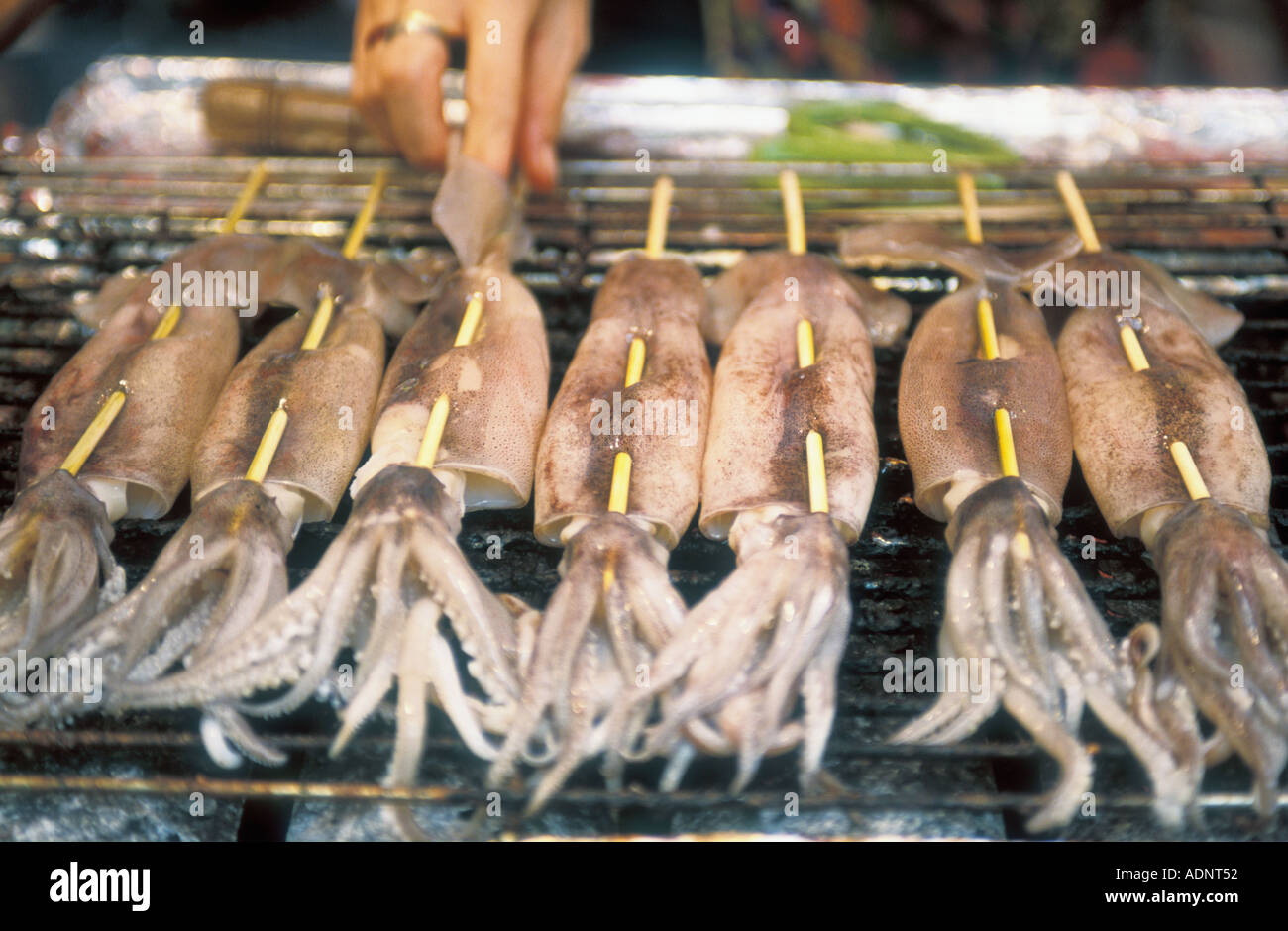 Skewered Barbecue Squid Asian Street Market Taiwan China Stock Photo ...