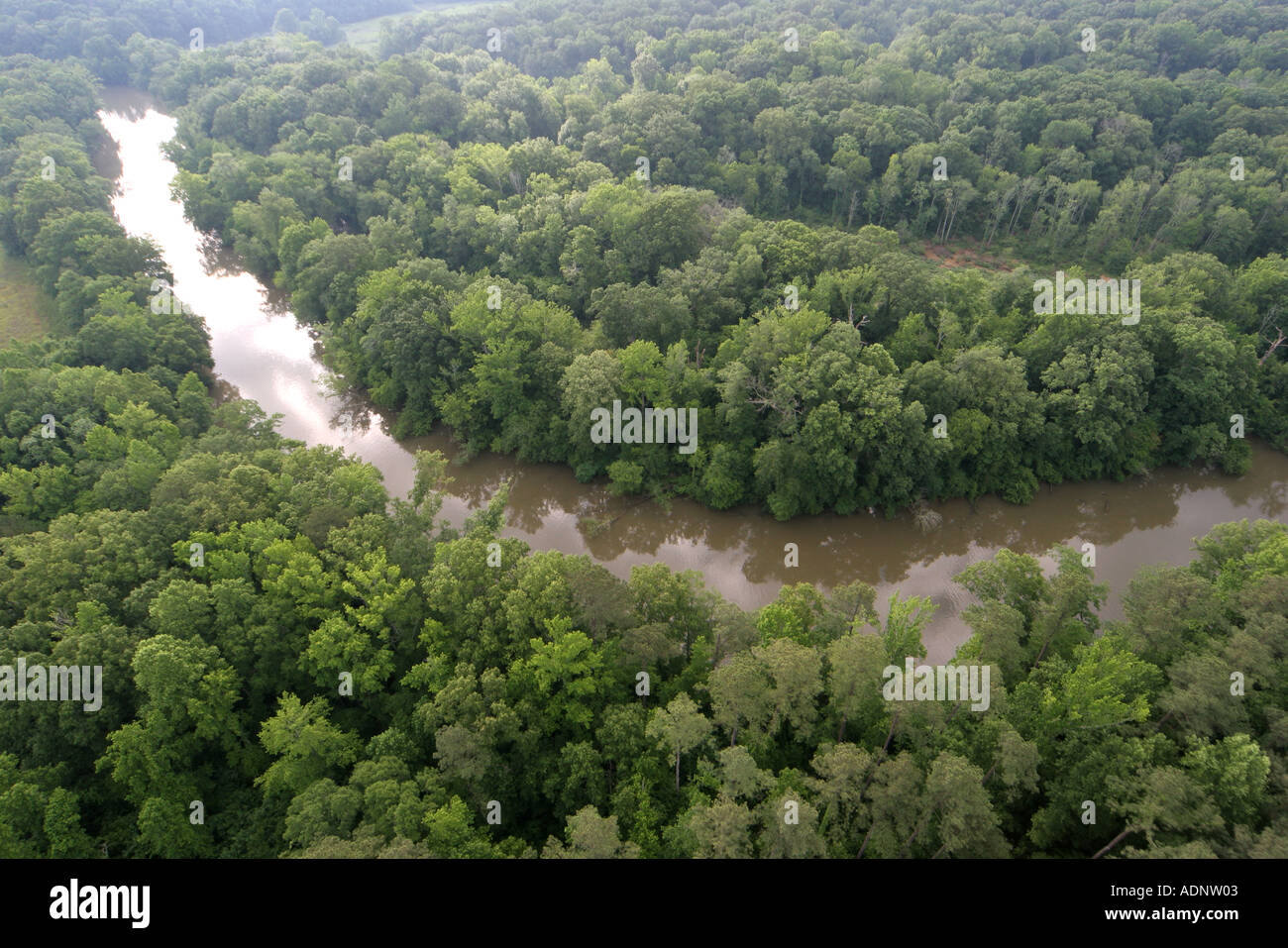 Alabama Morgan County,Decatur,trees,river,aerial overhead view from ...