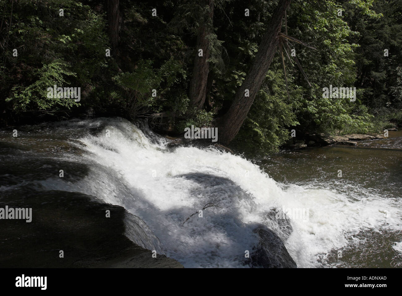 Millstone River Waterfall Bowen Park Nanaimo Vancouver Island British ...