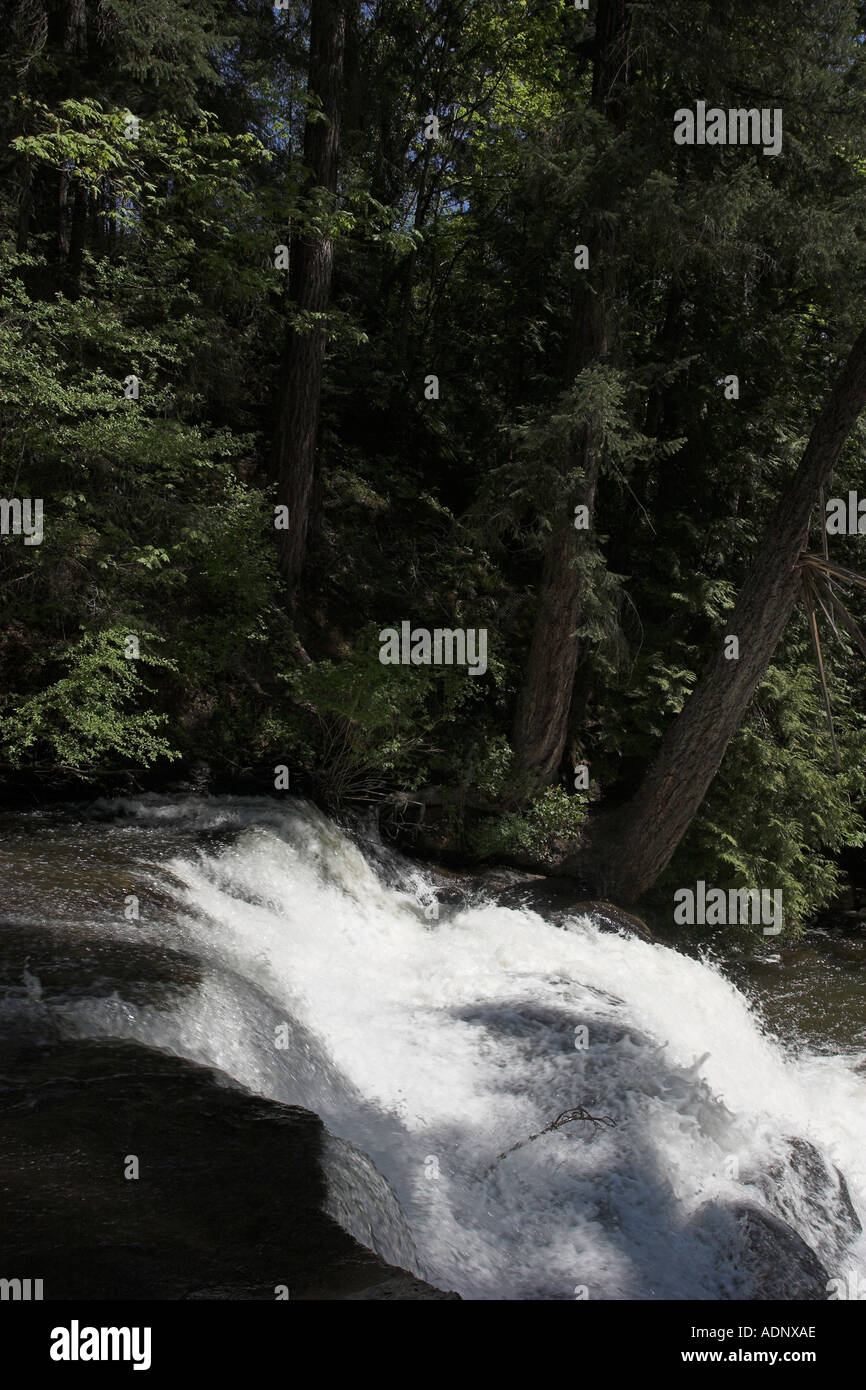 Millstone River Waterfall Bowen Park Nanaimo Vancouver Island British ...