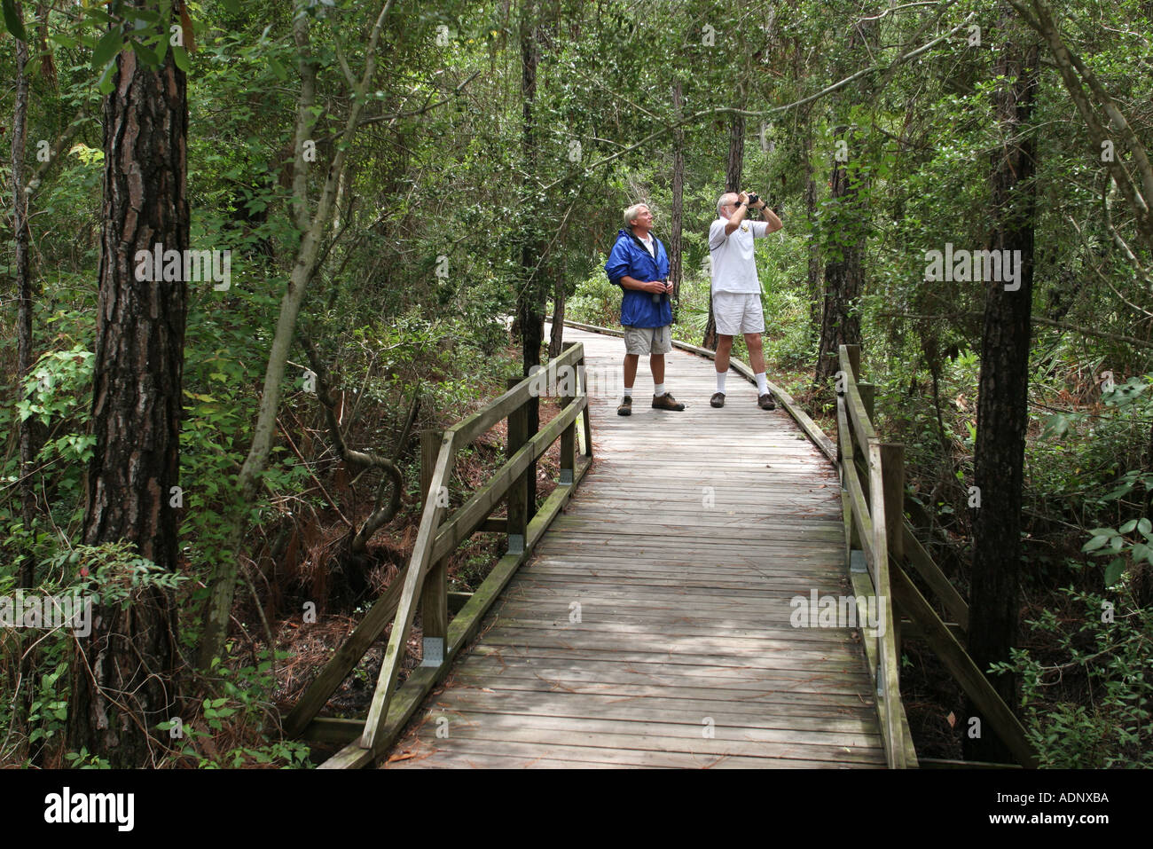 Alabama Dauphin Island,Audubon Bird Sanctuary,birder,nature boardwalk ...