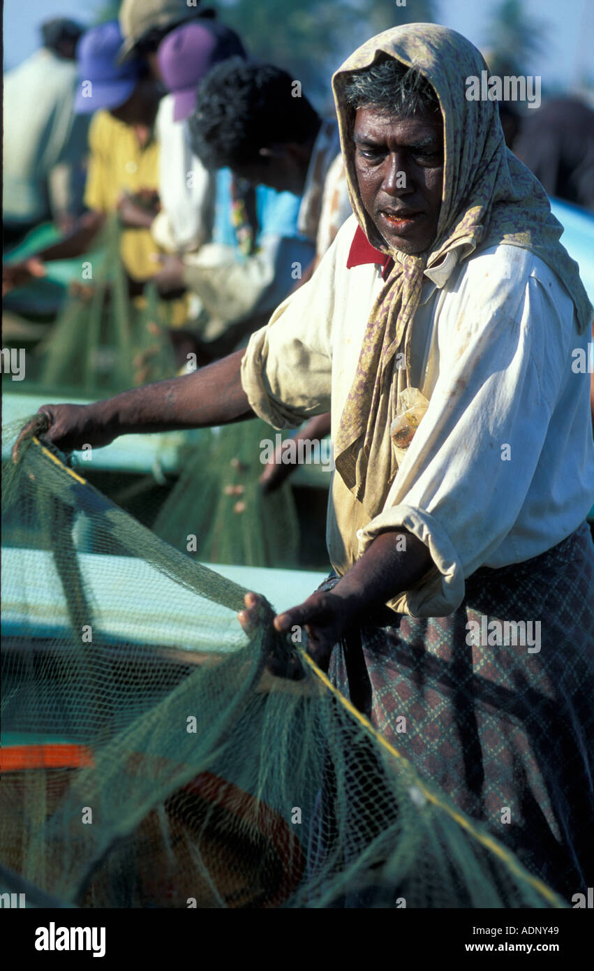 Fish Market Negombo Sri Lanka Stock Photo - Alamy