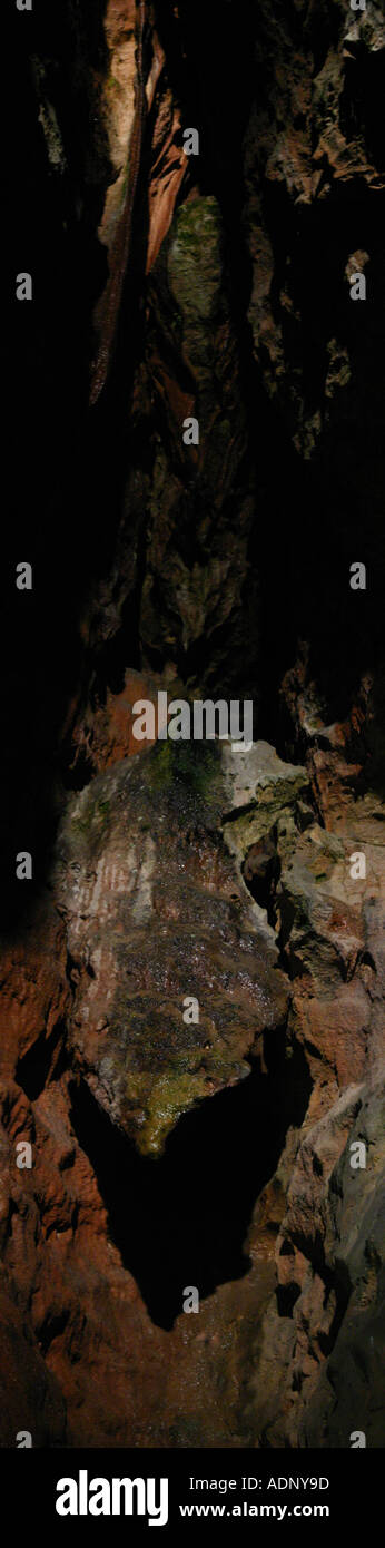 Somerset wookey hole caves hi-res stock photography and images - Alamy