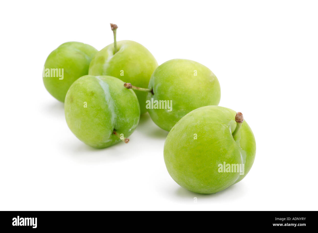 Greengages cut out hi-res stock photography and images - Alamy