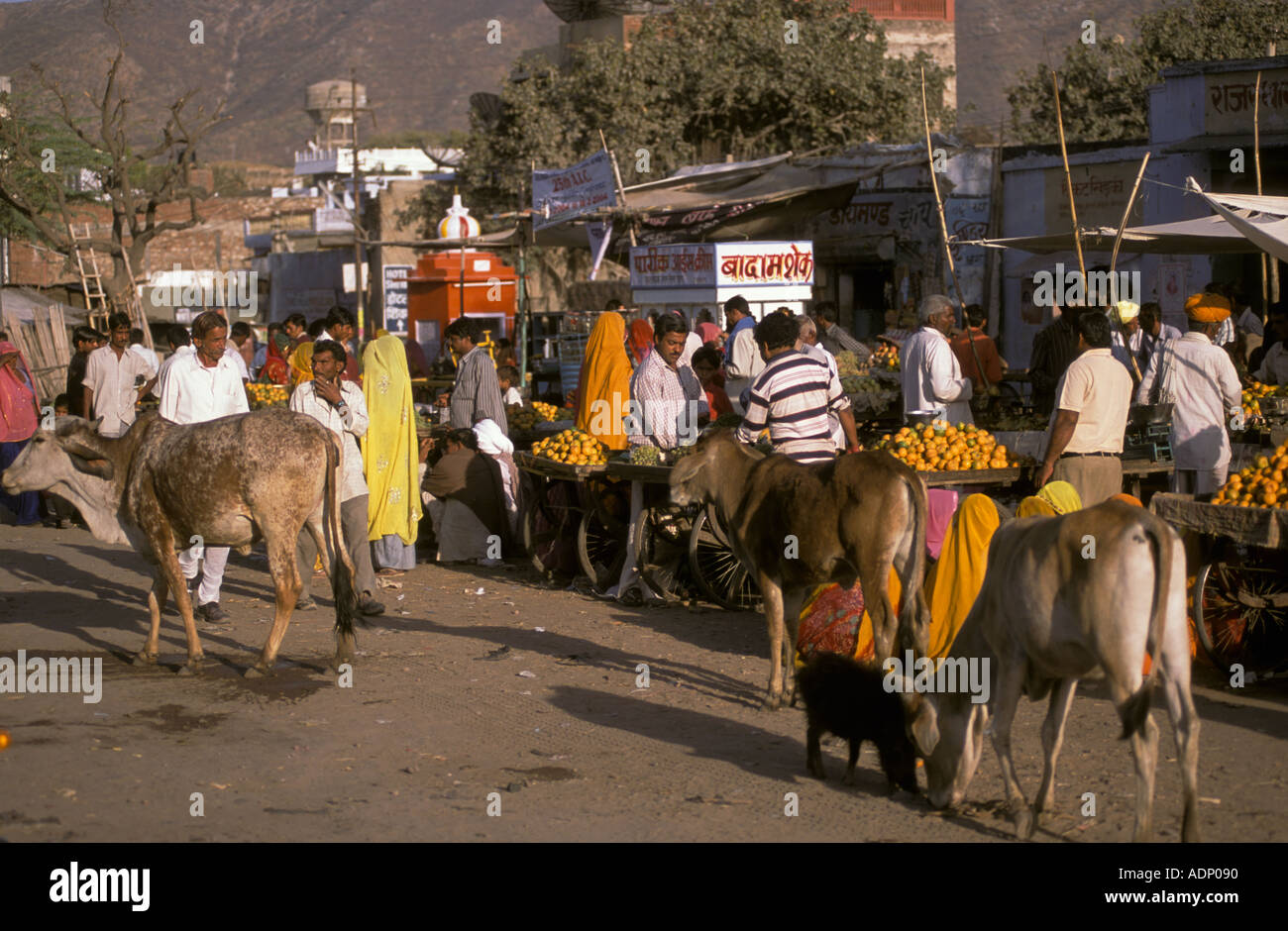 India Rajasthan Pushkar bus station market Stock Photo - Alamy