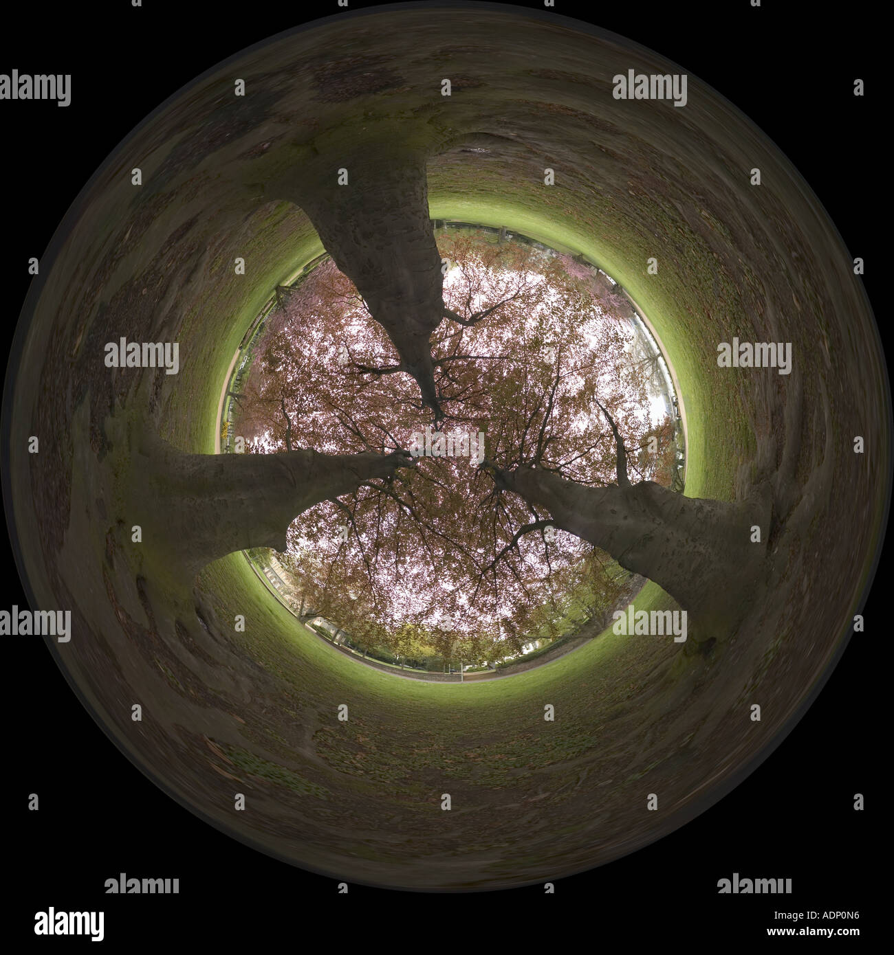 360 image hi-res stock photography and images - Alamy