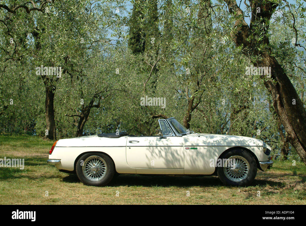 White mg car hi-res stock photography and images - Alamy