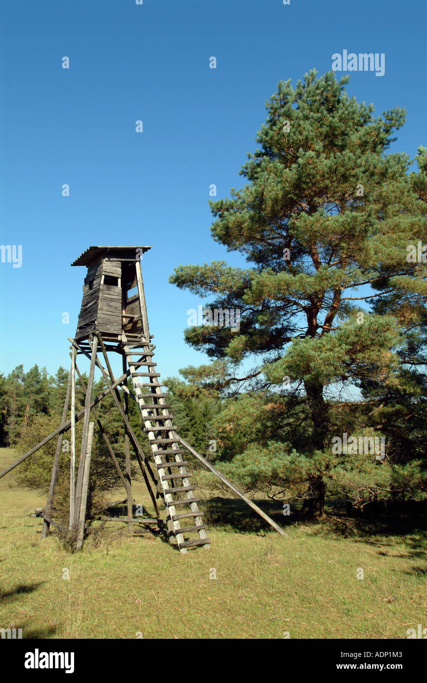 Scaffold struts hi-res stock photography and images - Alamy