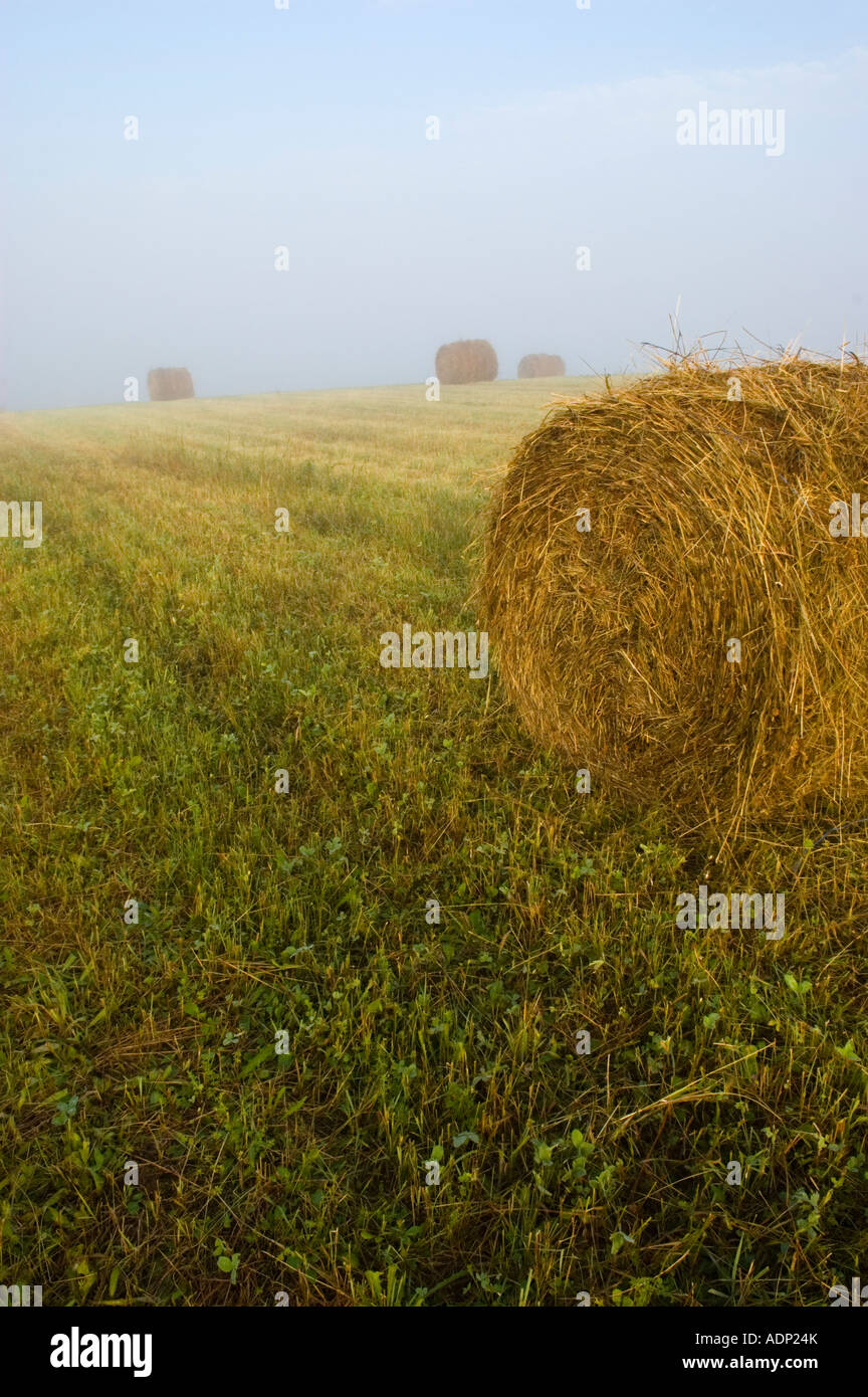 Farmland new brunswick hi-res stock photography and images - Alamy
