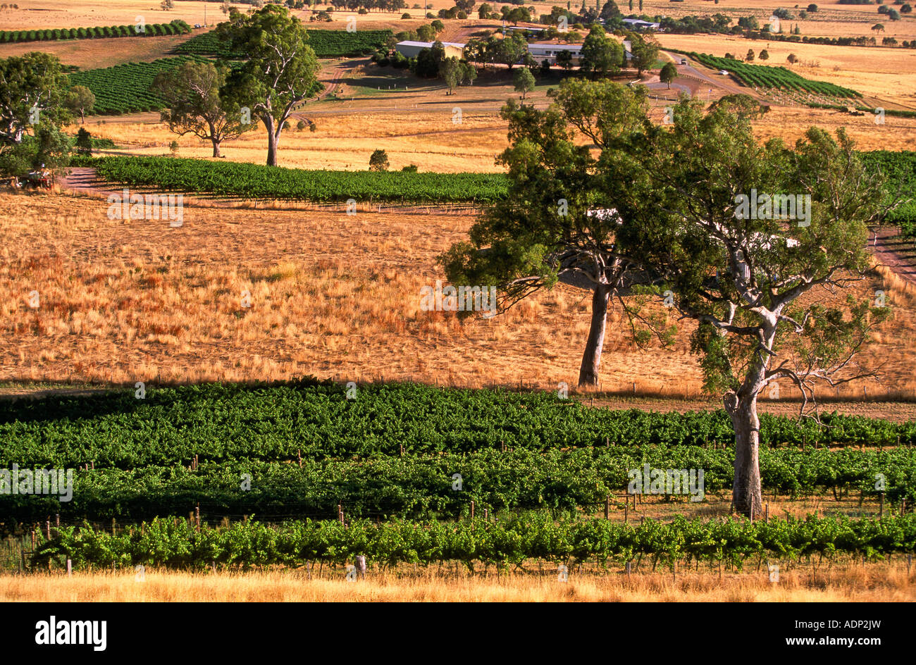Winery, Victoria, Australia Stock Photo - Alamy