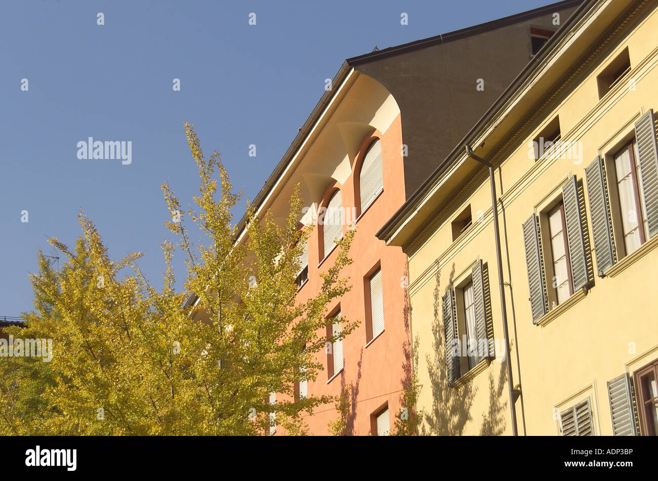 Typical Architecture in the Piazza San Domenico, Bologna, Emilia ...