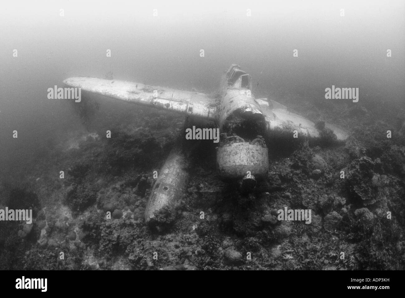 A Japanese "Jake" seaplane, shot down during World War II, sits on a ...