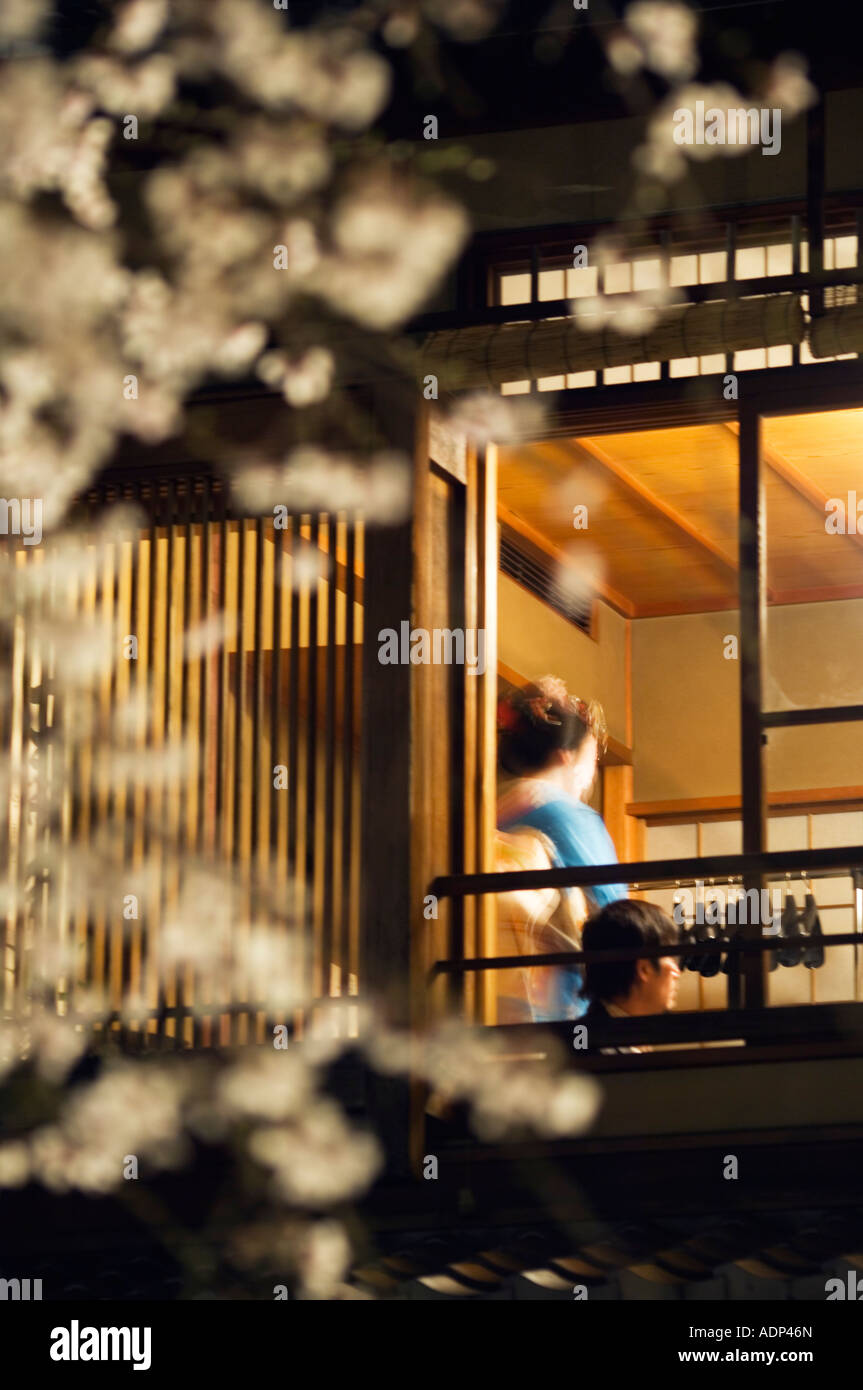 geisha entertaining in tea house spring cherry tree blossom Shinbashi ...