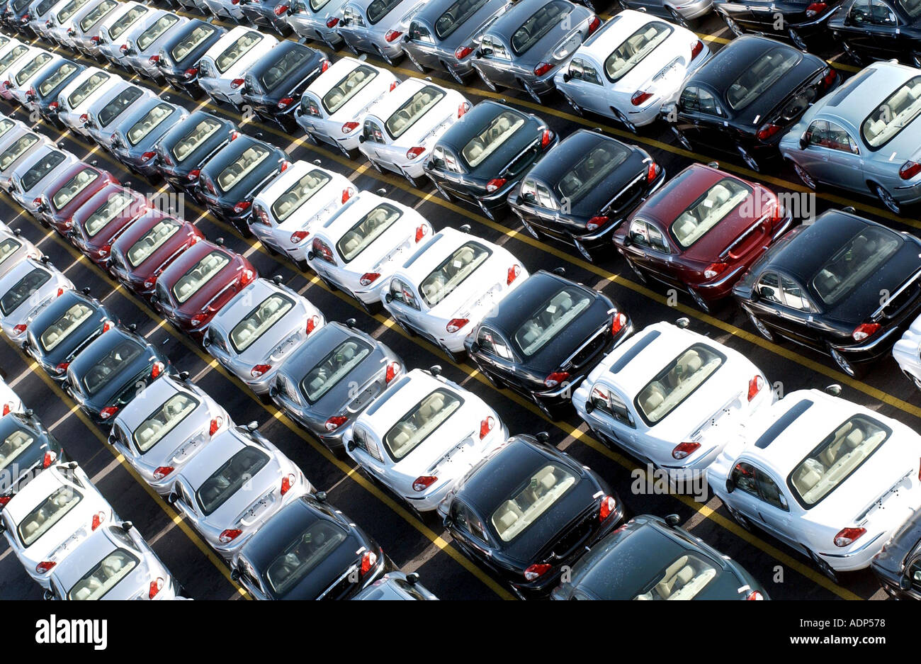 Waiting in line for their first owner Stock Photo - Alamy