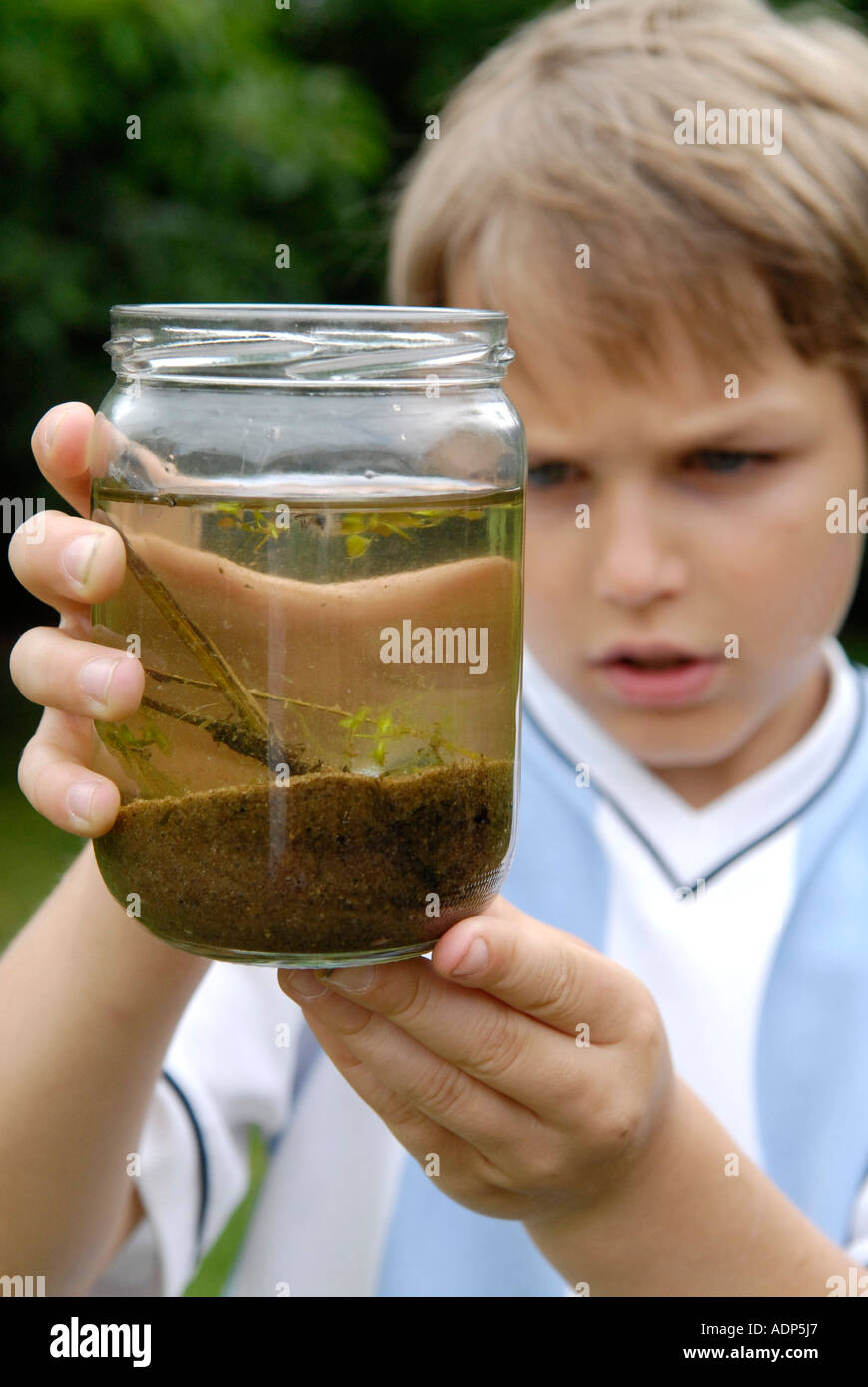 Boy Tadpoles High Resolution Stock Photography and Images - Alamy