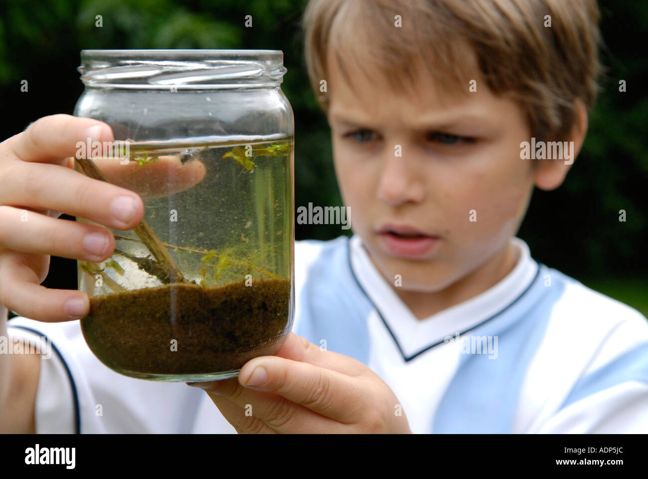 Children pond frogs hi-res stock photography and images - Alamy