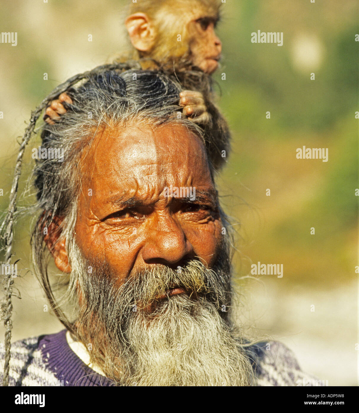 Sadus hi-res stock photography and images - Alamy