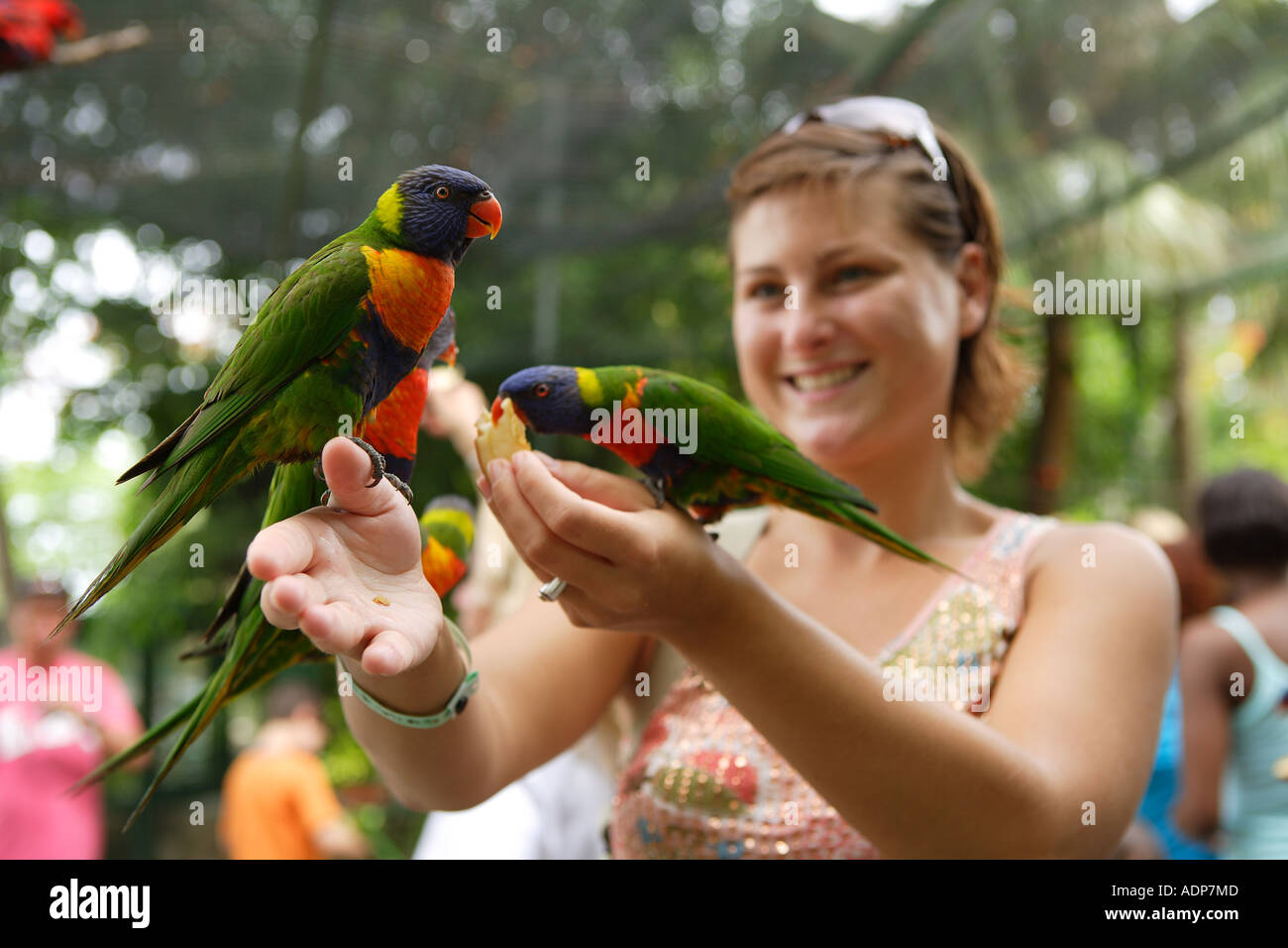 Feeding Lory Parrot’s at Ardastra Gardens, Zoo & Conservation Centre ...