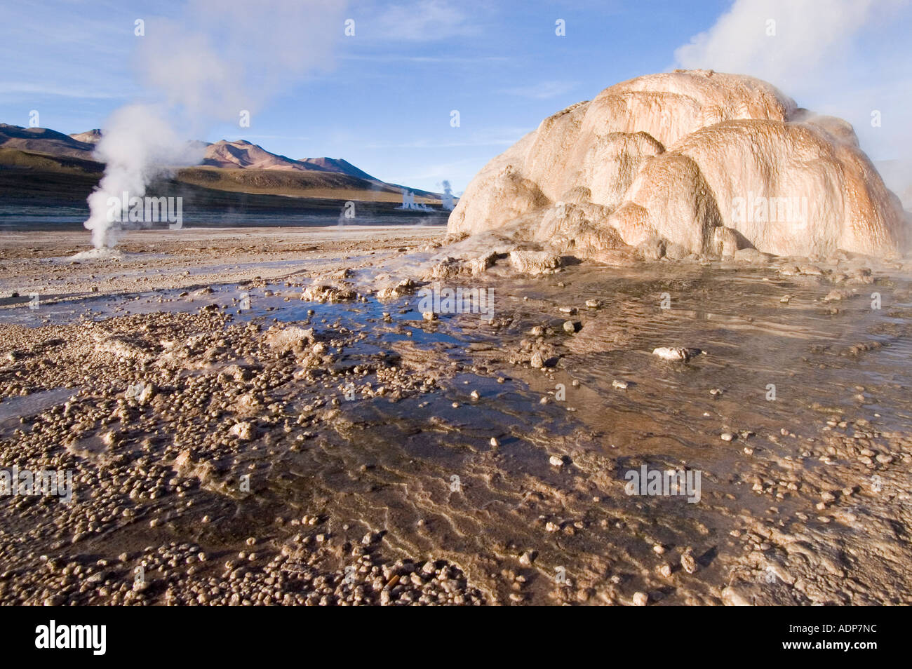 geyser at the geyserfiel of El Tatio Chile Stock Photo - Alamy