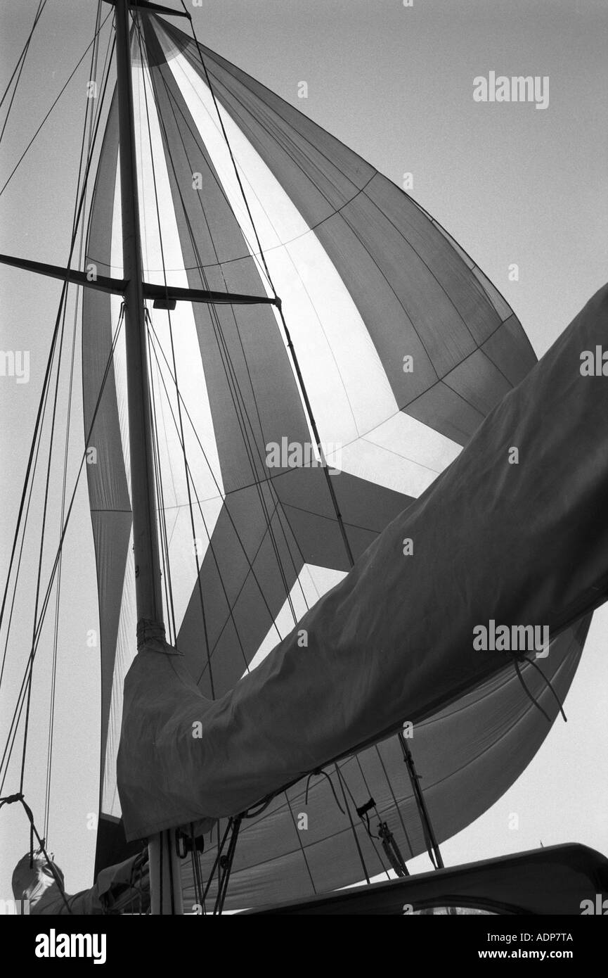 Ready for canvas hi-res stock photography and images - Alamy