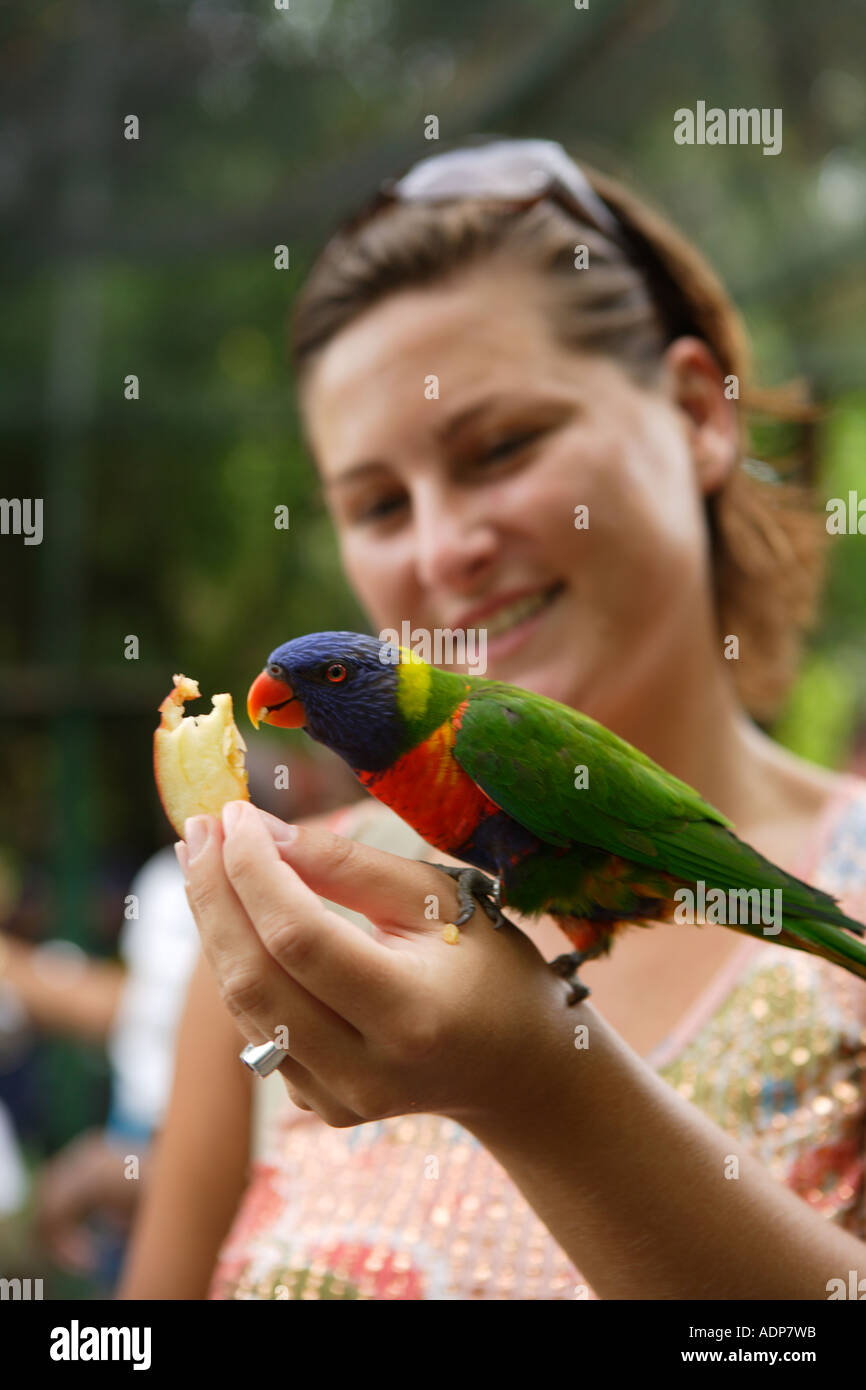 Feeding Lory Parrot’s at Ardastra Gardens, Zoo & Conservation Centre ...