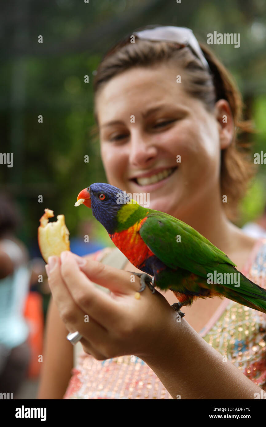 Feeding Lory Parrot’s at Ardastra Gardens, Zoo & Conservation Centre ...