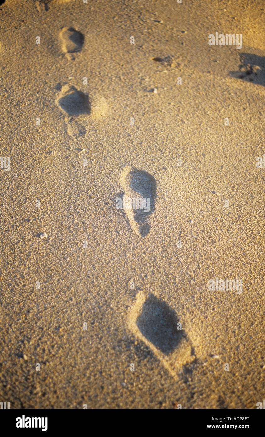 Footprints foot hi-res stock photography and images - Alamy
