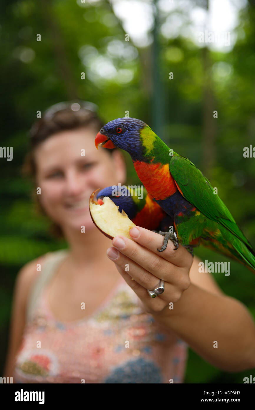 Feeding Lory Parrot’s at Ardastra Gardens, Zoo & Conservation Centre ...