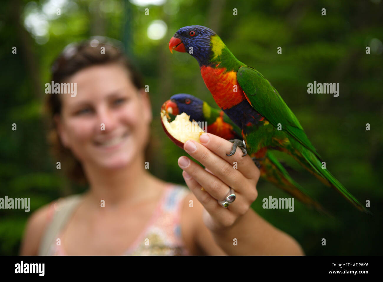 Feeding Lory Parrot’s at Ardastra Gardens, Zoo & Conservation Centre ...