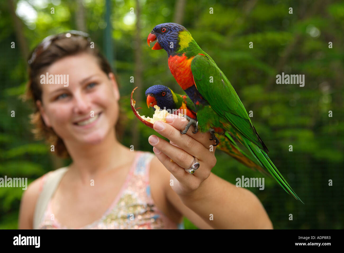 Feeding Lory Parrot’s at Ardastra Gardens, Zoo & Conservation Centre ...