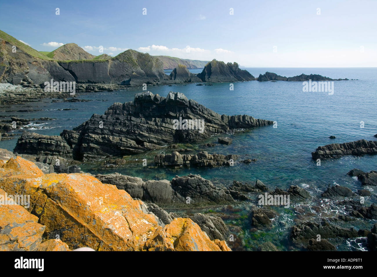 Lichen on coastal rocks at Hartland Quay, Devon, UK Stock Photo - Alamy
