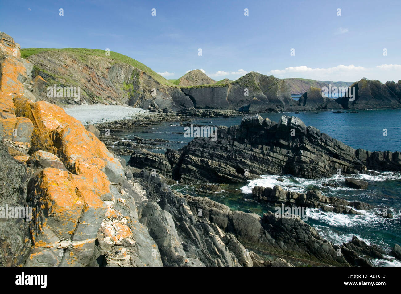 sea cliffs with folded rocks and lichen at Hartland Quay Devon, UK ...