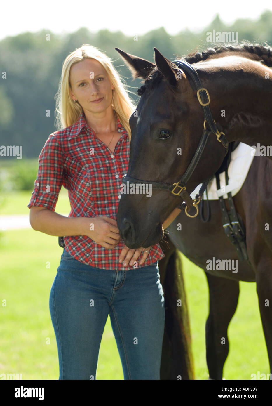 Woman posing with Warmblood stallion Stock Photo - Alamy