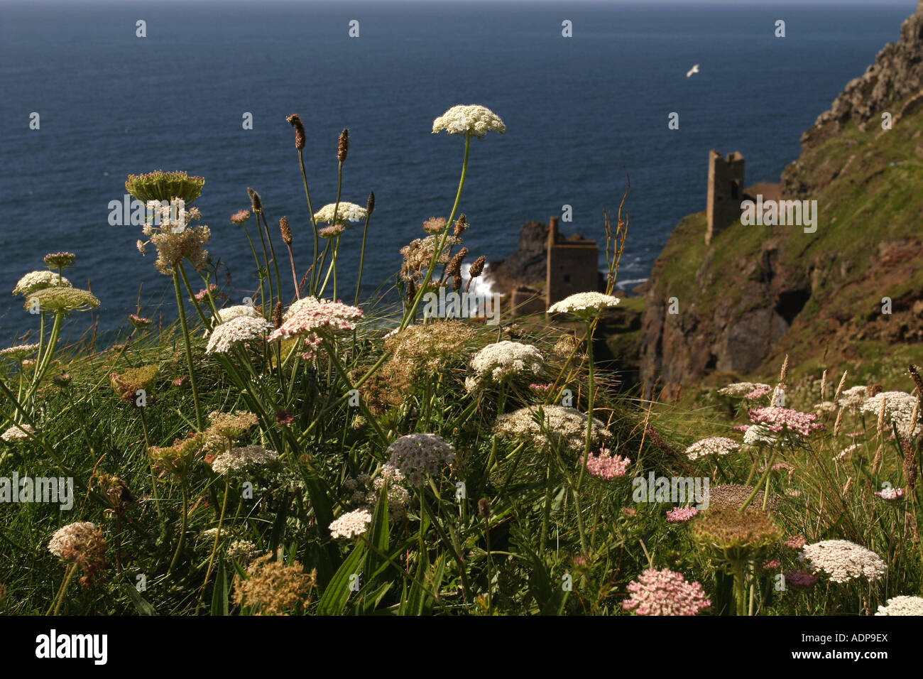 Crowns engine shaft hi-res stock photography and images - Alamy