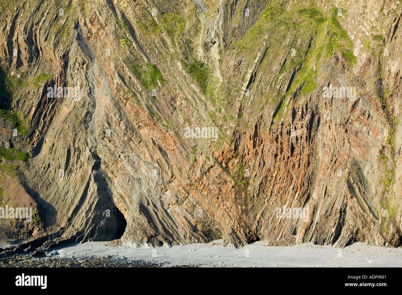 Folding in sea cliff rocks at Hartland Quay, Devon, UK Stock Photo - Alamy
